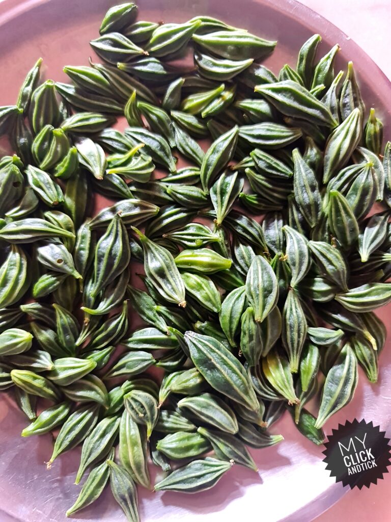 Athalakkai Poriyal (Momordica cymbalaria) - MY CLICK AND TICK